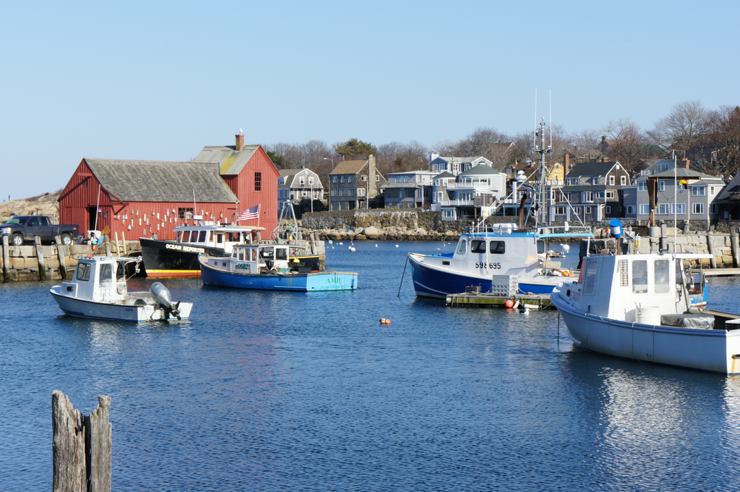 Découverte du Cape Ann | Le blog de Mathilde