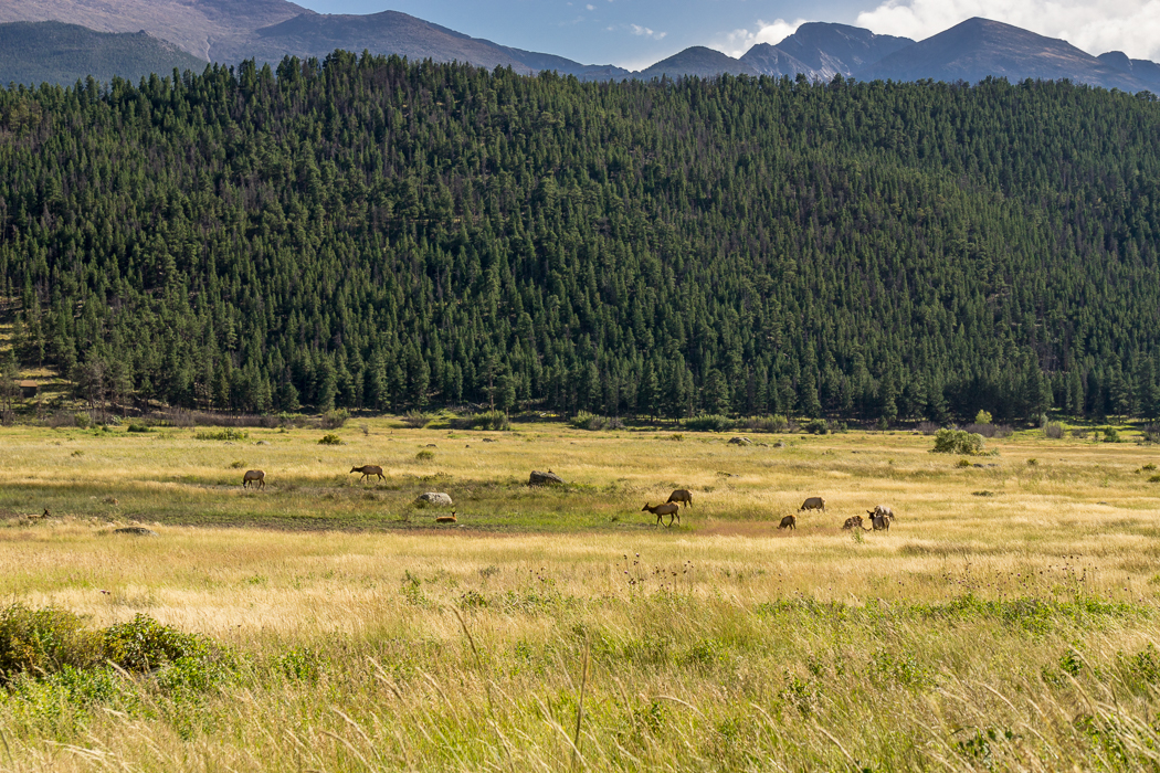 Tout là haut, dans le parc national des montagnes Rocheuses du Colorado ...