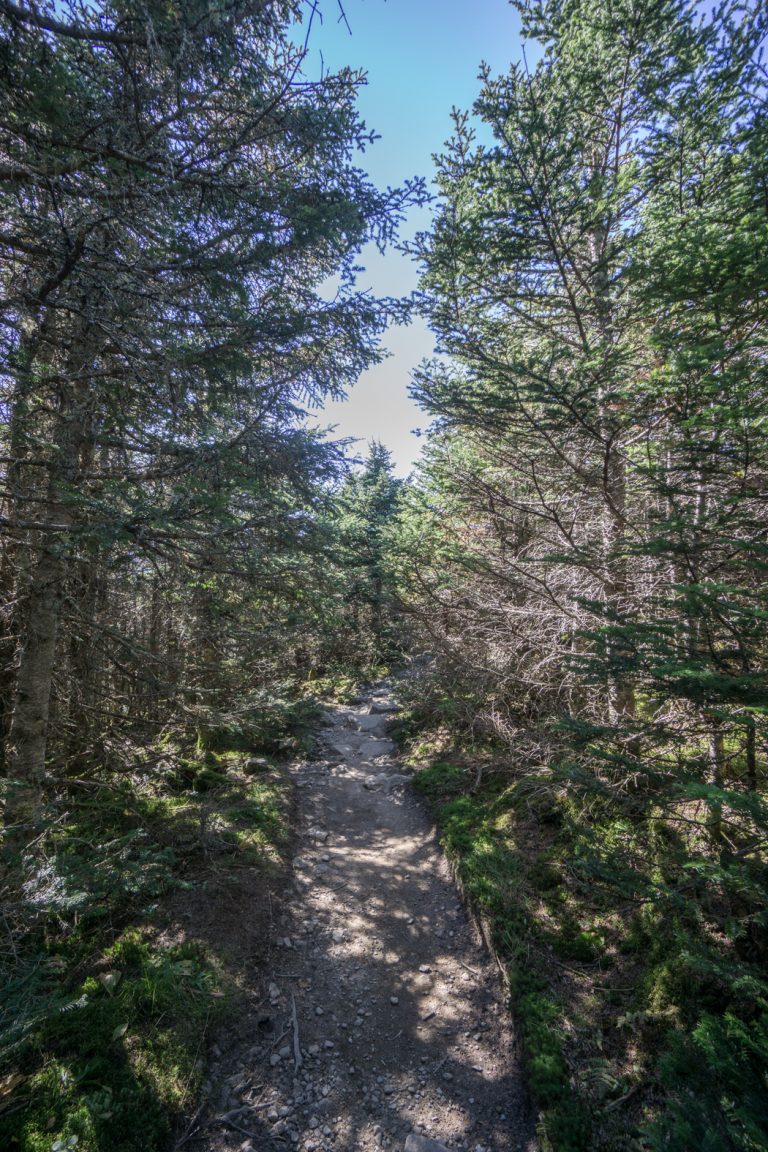 Une belle randonnée en haut du mont Lafayette dans les White Moutains ...
