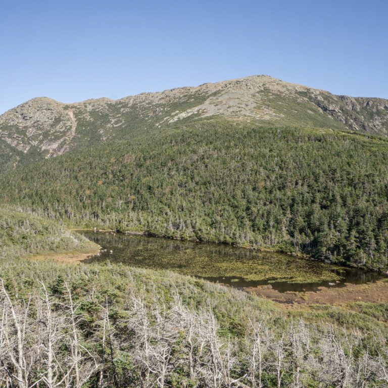 Une belle randonnée en haut du mont Lafayette dans les White Moutains ...