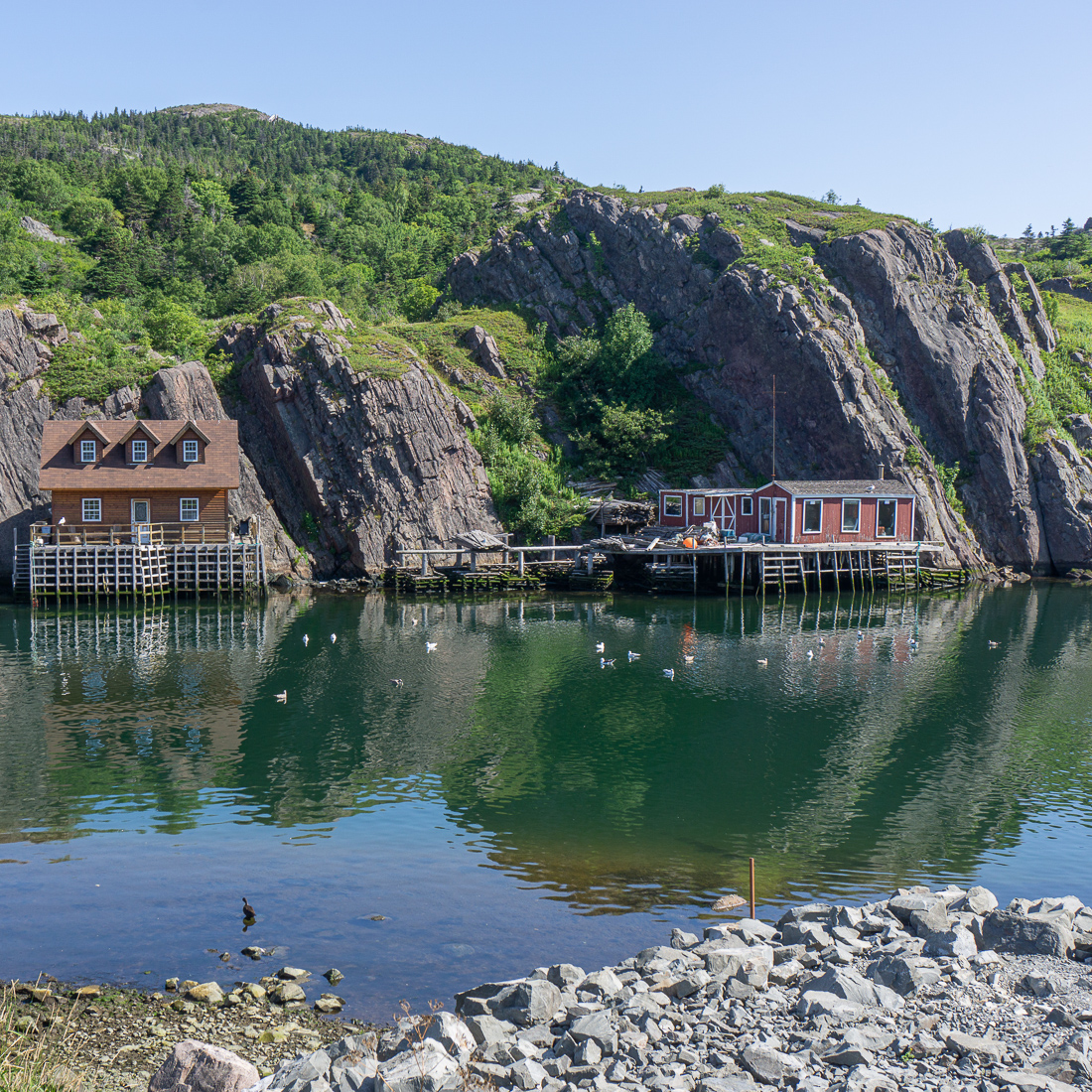 (Terre Neuve, Canada) A la découverte de St John's | Le blog de Mathilde
